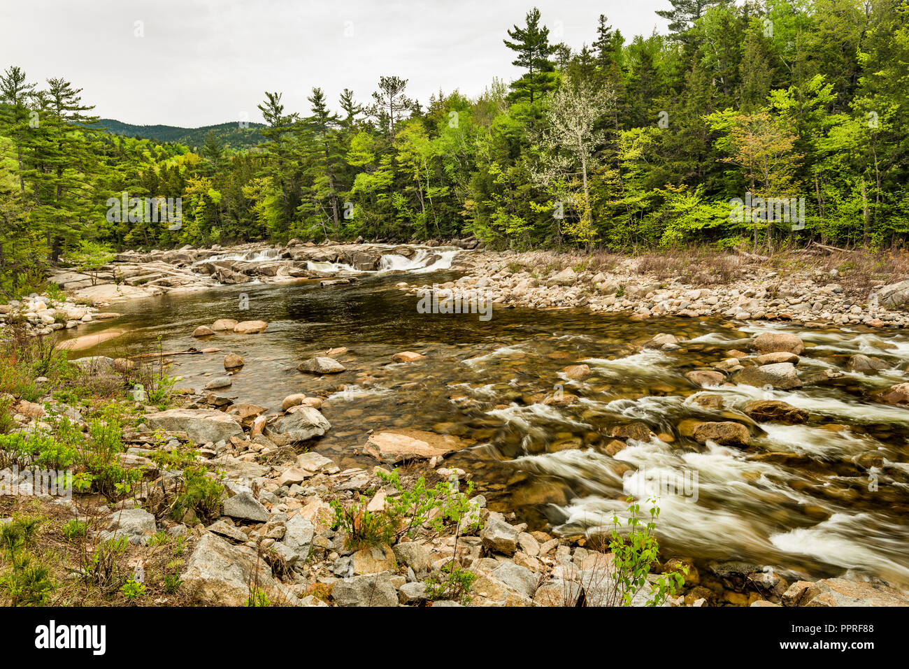 Lower Falls on the Swift River in Spring, White Mountain National ...