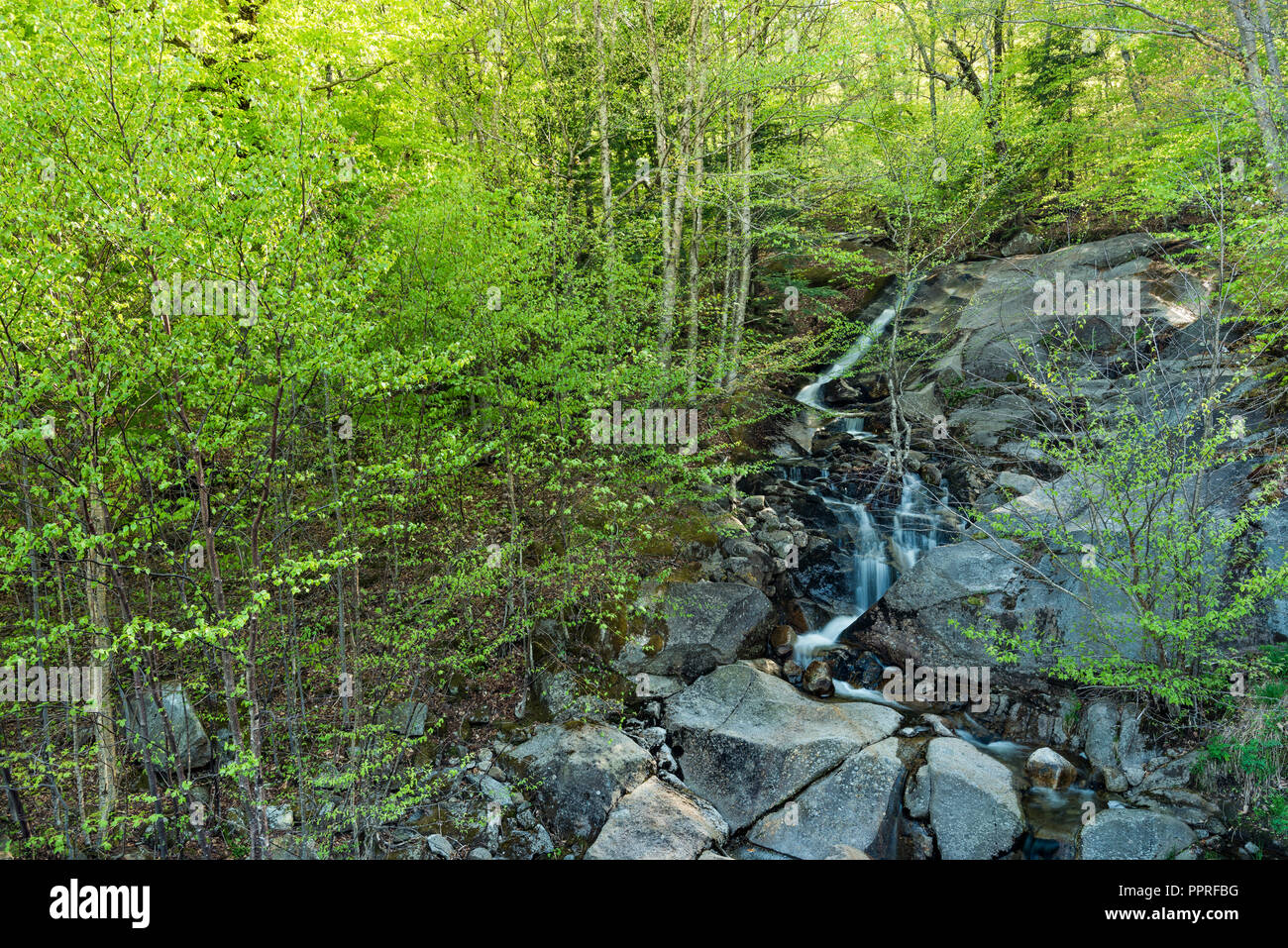 Small unnamed waterfall alongside Route 112 in spring, Grafton Co ...