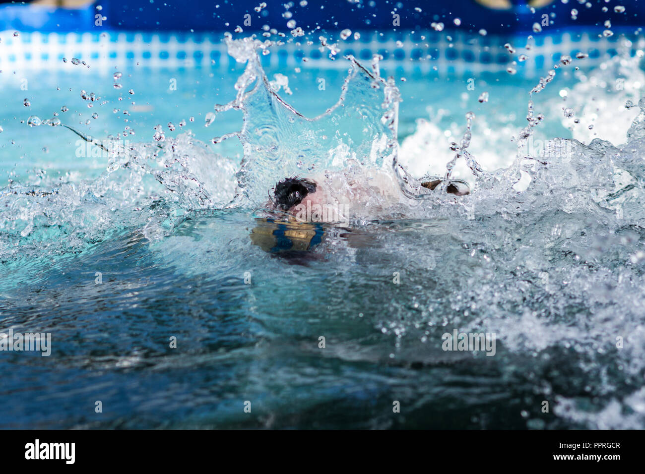 American Bulldog swimming in the dog pool Stock Photo - Alamy