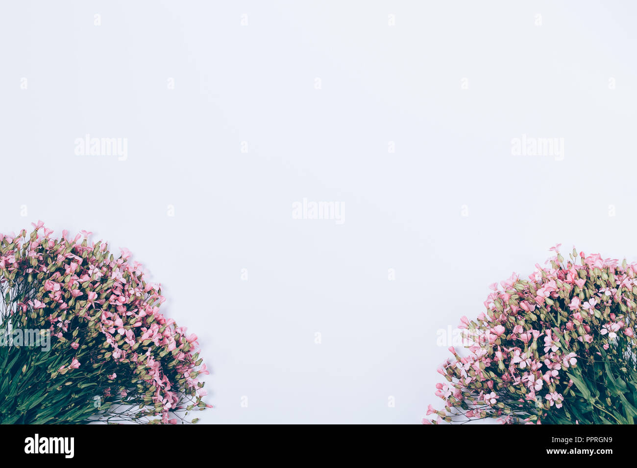 Floral flat lay composition with pink flowers on white background ...