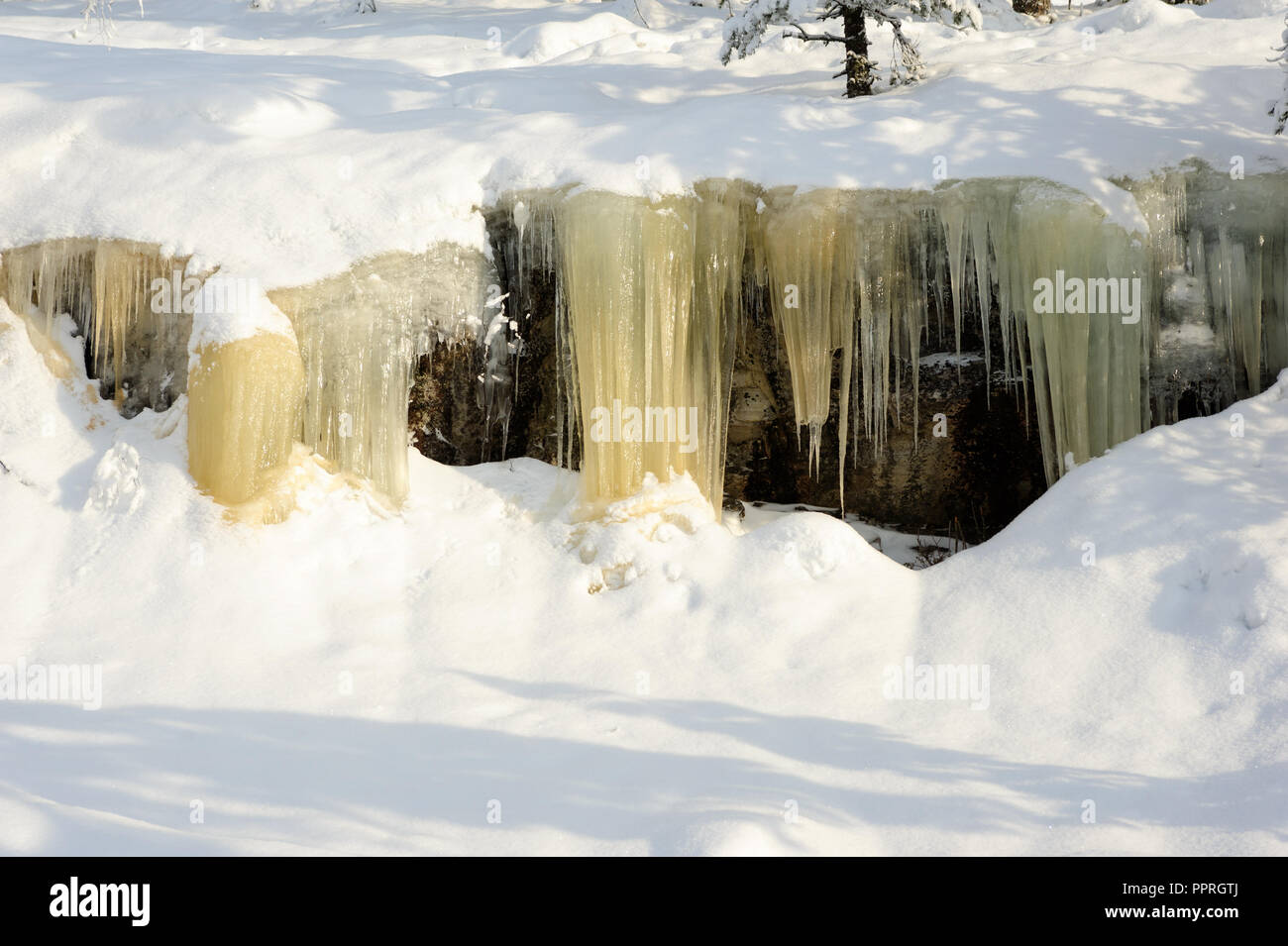 Icicles hanging from a rock cliff. Snowy landscape in Koli National ...