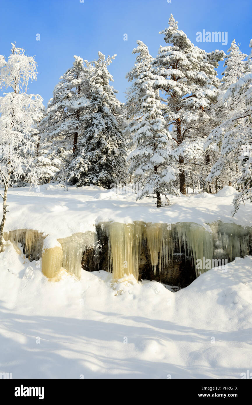Icicles hanging from a rock cliff. Snowy landscape in Koli National ...