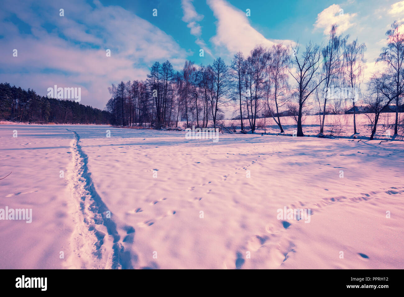 Winter snow landscapes. The path is trampled on a frozen lake in the ...