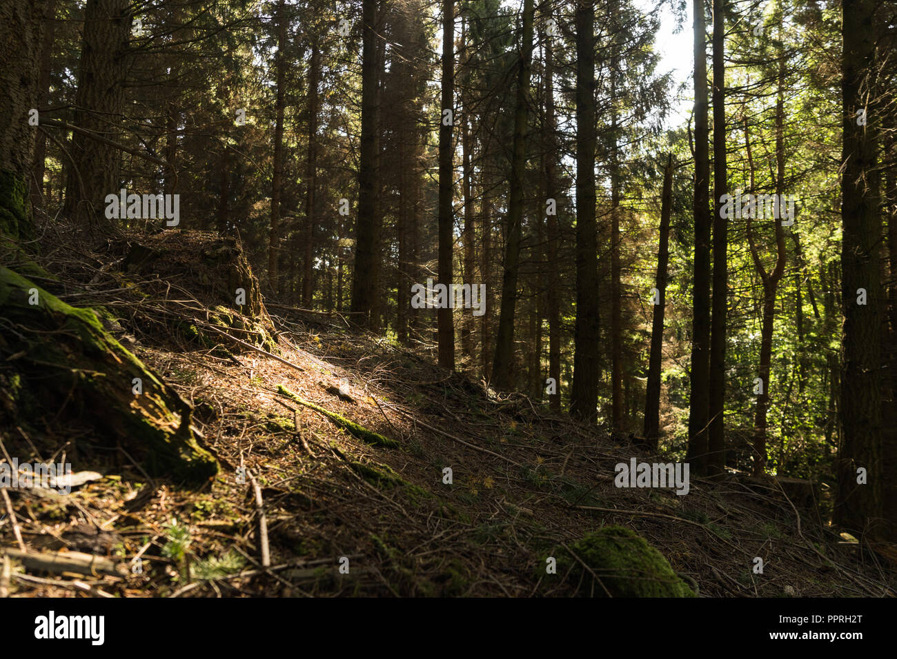 Natural compression hi-res stock photography and images - Alamy