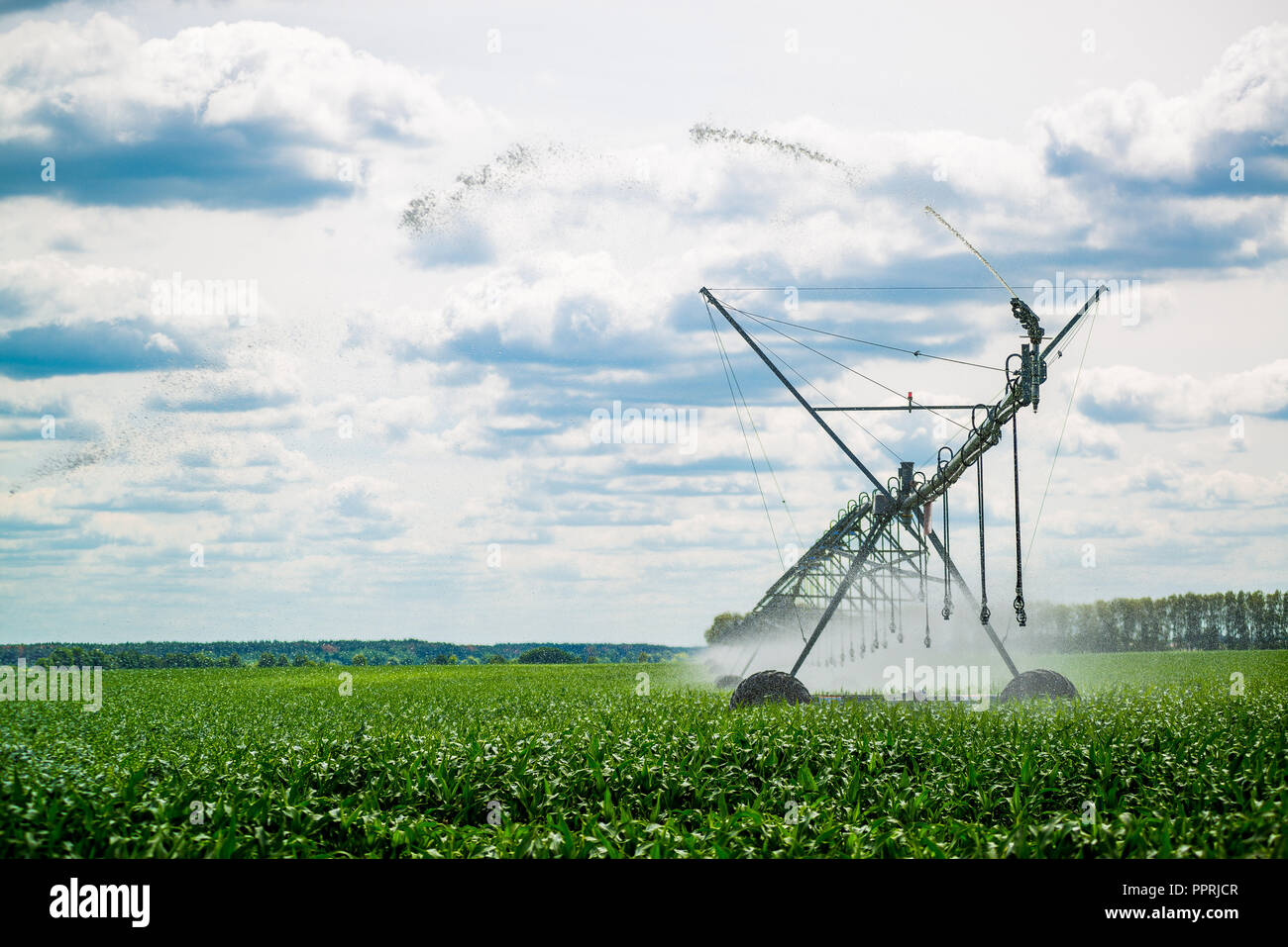 Drip irrigation system crop hi-res stock photography and images - Alamy
