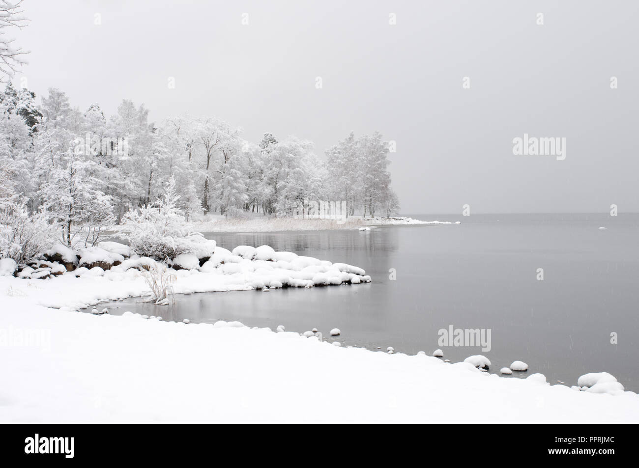 Winter landscape. with falling snow. Newly fallen snow covering lake ...