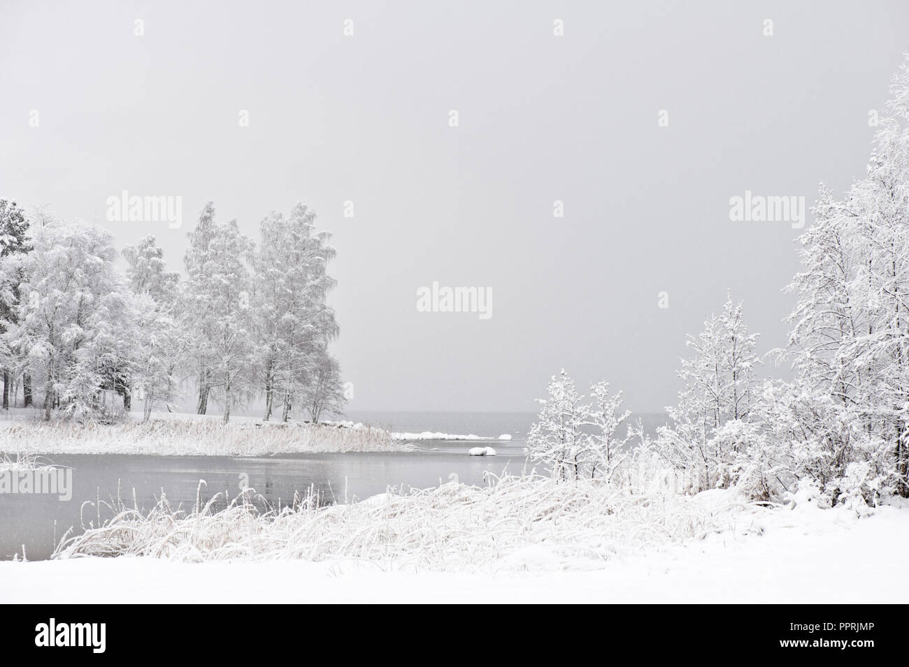 Winter landscape. with falling snow. Newly fallen snow covering lake ...