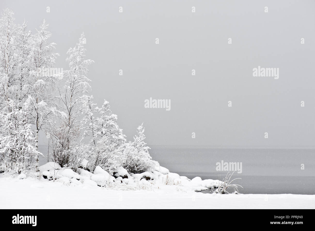 Winter landscape. with falling snow. Newly fallen snow covering lake ...