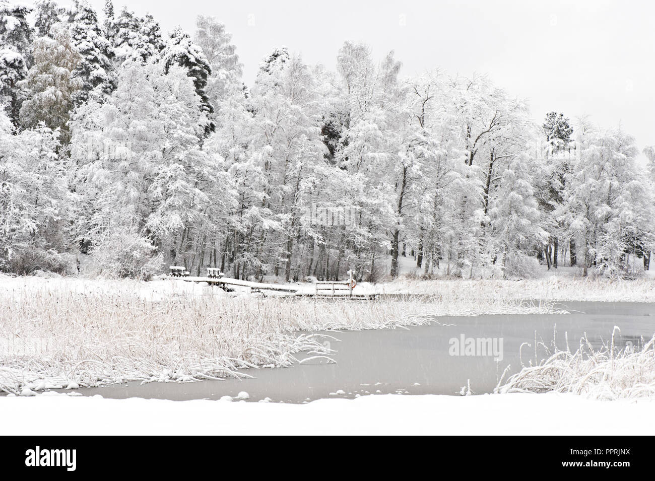 Snow falling arctic hi-res stock photography and images - Alamy