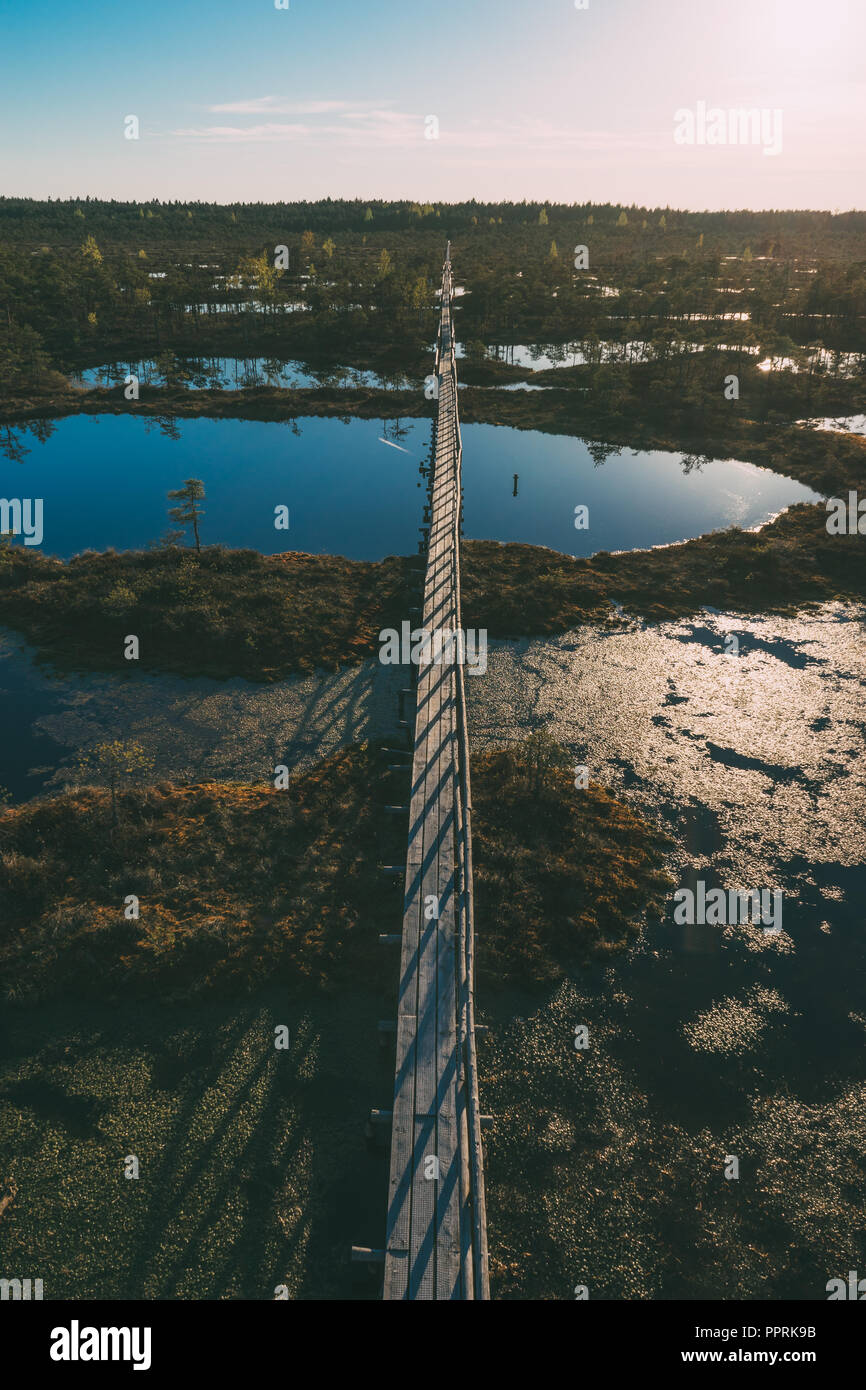 Hiking trail through scenic bog area, nordic landscape Stock Photo - Alamy