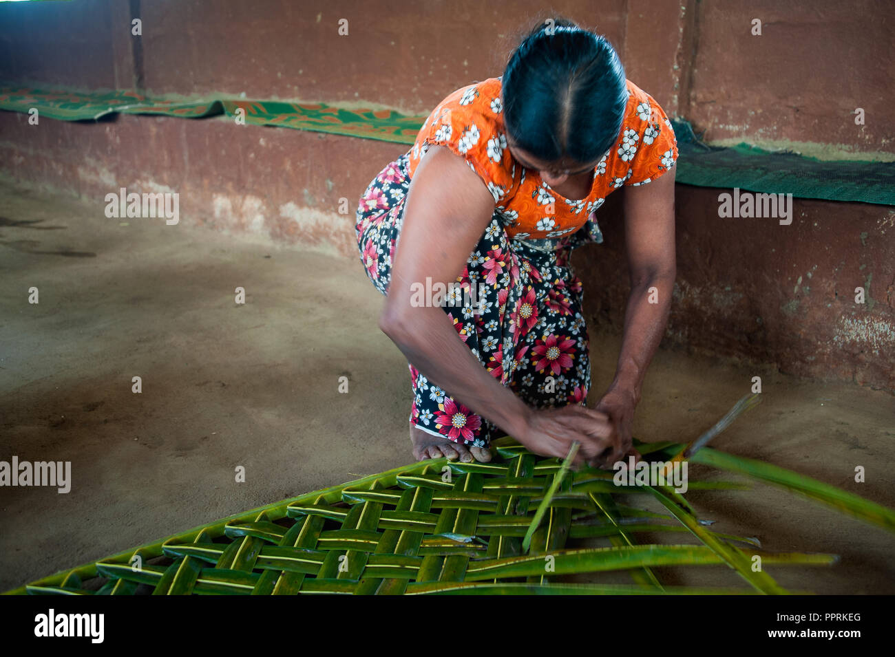 Weaving A Coconut Palm Stock Photos & Weaving A Coconut Palm Stock ...