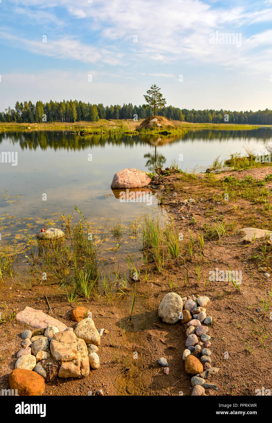 Pine on a small island in the middle of the pond. Abandoned sand quarry ...