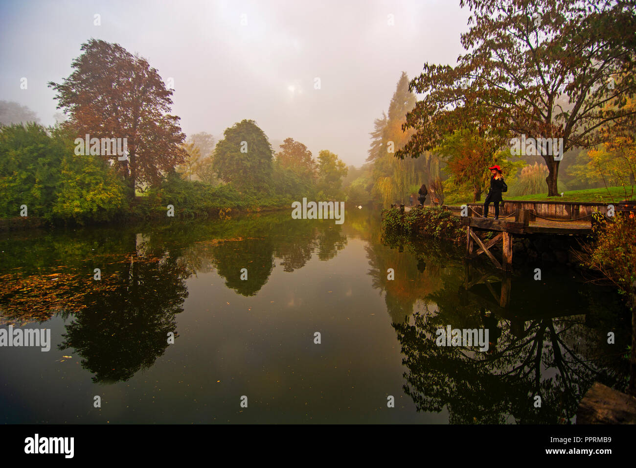 autumn in Ataturk arboretum,Istanbul Stock Photo - Alamy