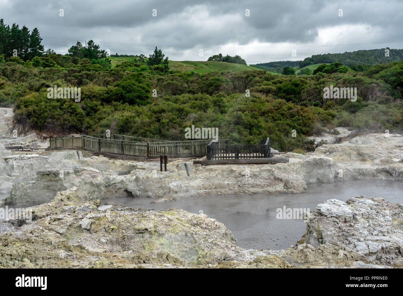 Hells gate geothermal park new zealand hi-res stock photography and ...