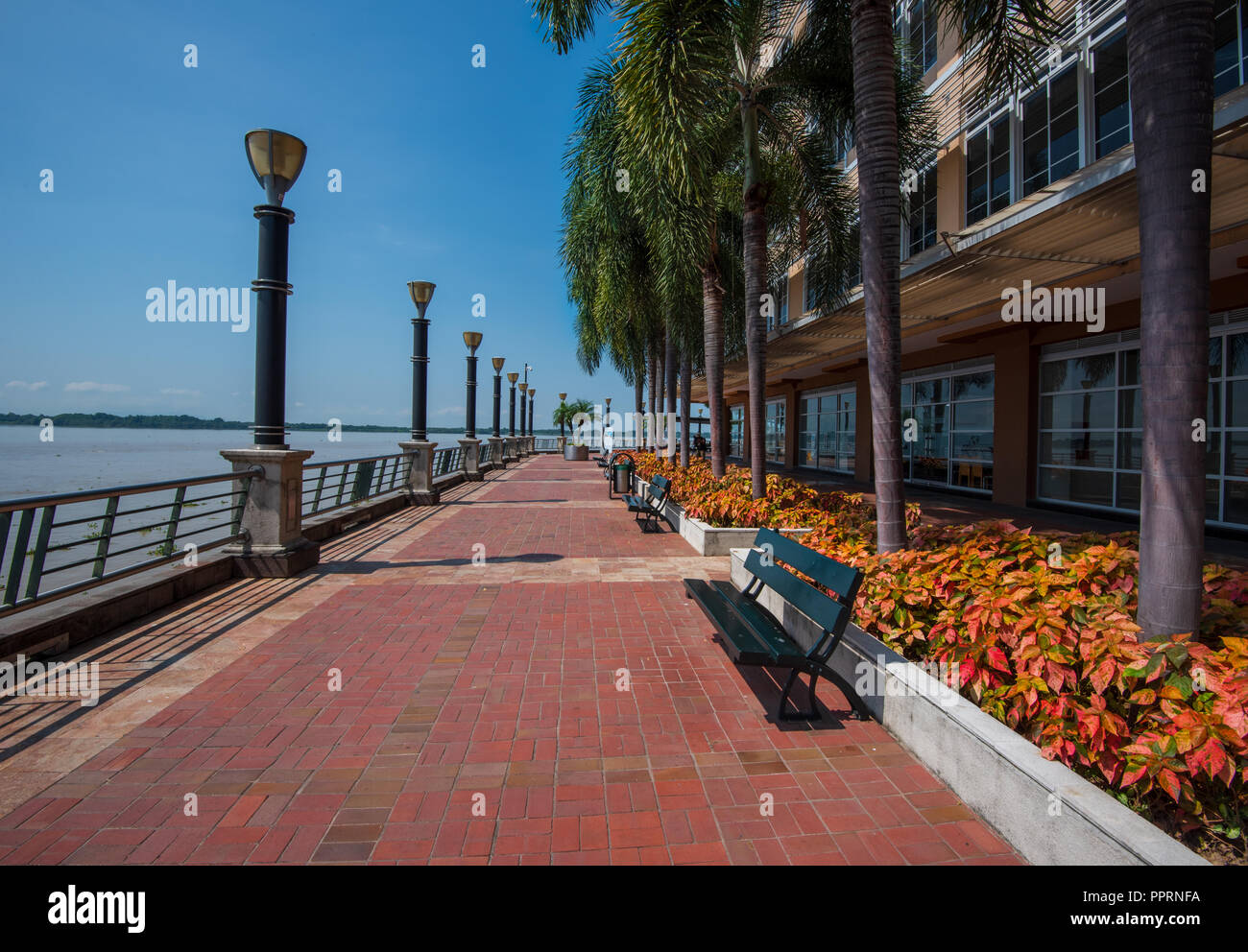A colorful promenade in Guayaquil Ecuador that looks out at the Guayas ...