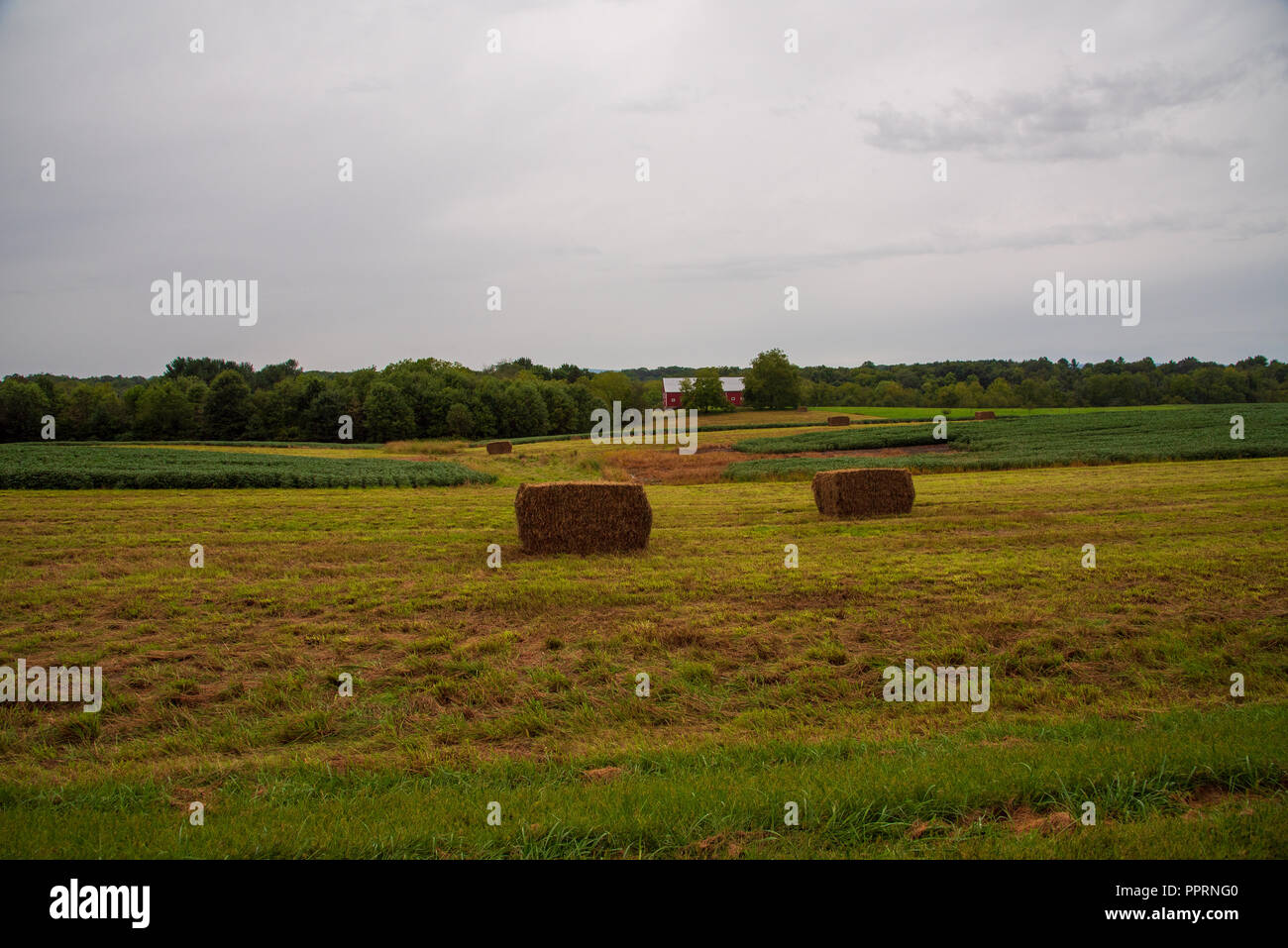 Hay bales red barn hi-res stock photography and images - Alamy