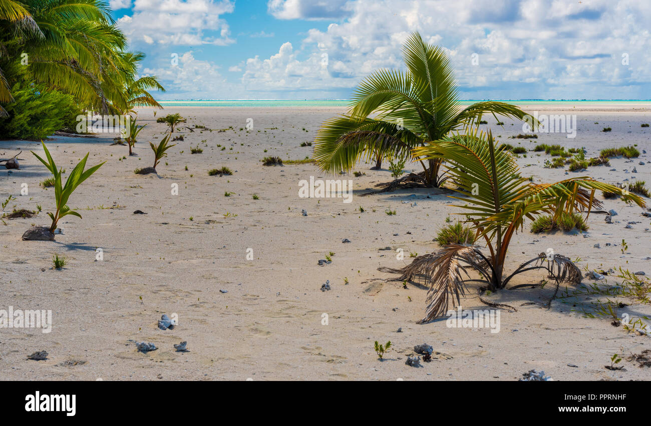 An empty stretch of beach on Maina island, one of the Cook Islands ...