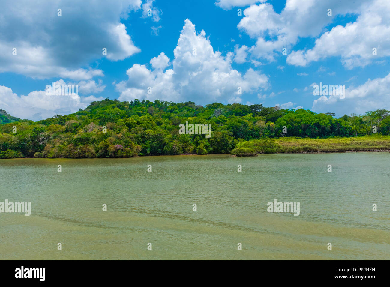 Small tree filled islands dot the landscape of Gatun Lake in the Panama ...