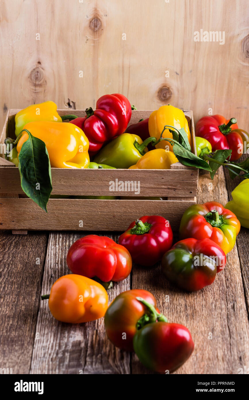 Colorful bell pepper in wooden crate, autumn harvest time Stock Photo ...