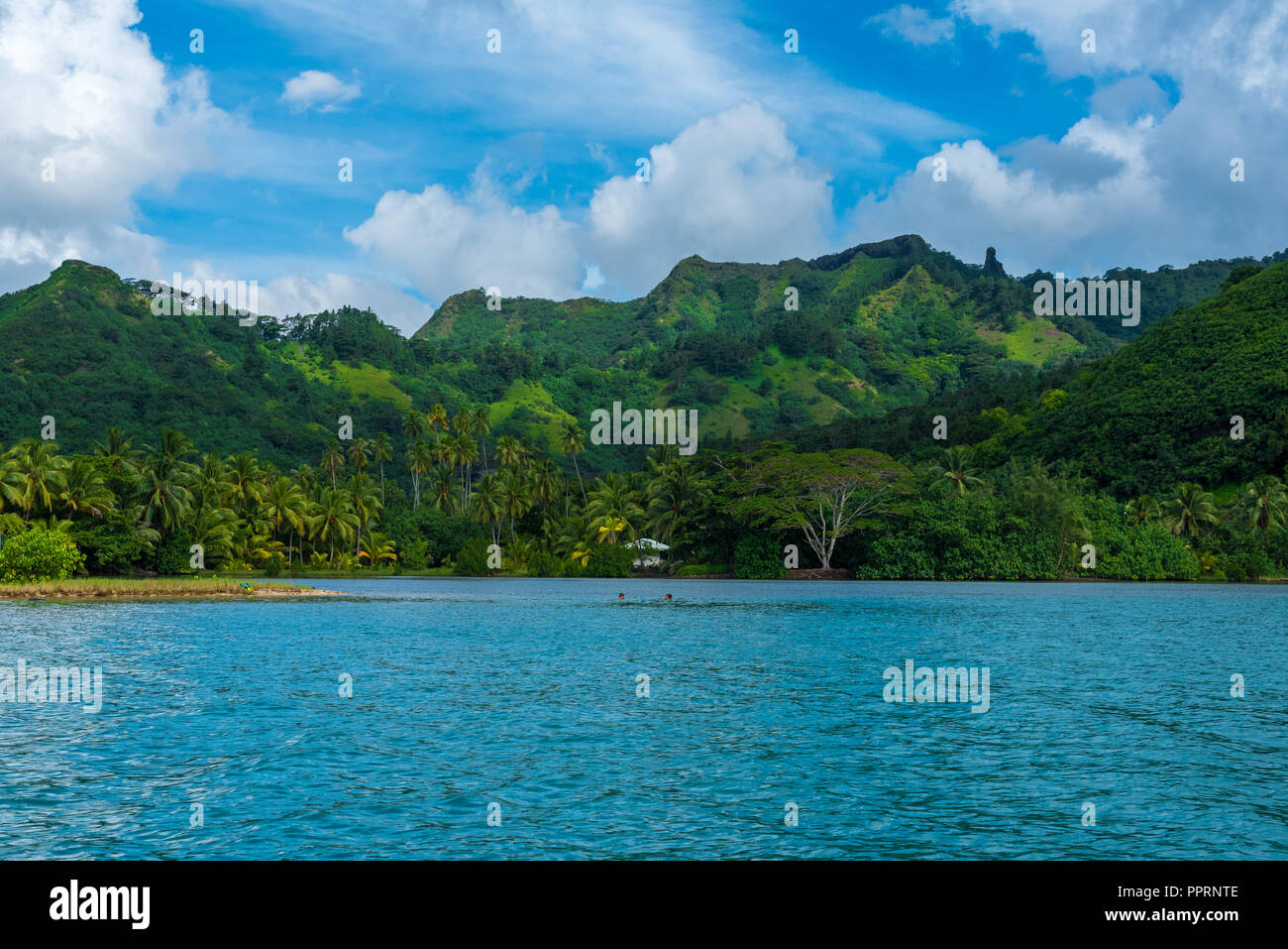 Moorea island displays the beautiful greenery abundant in French ...