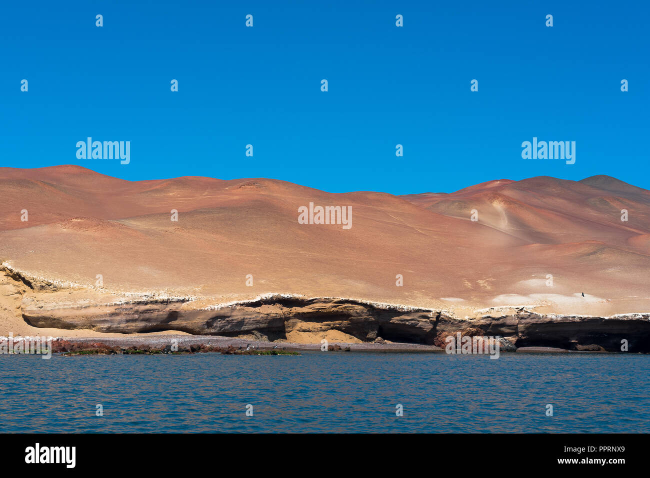 Dune, sechura desert, peru hi-res stock photography and images - Alamy