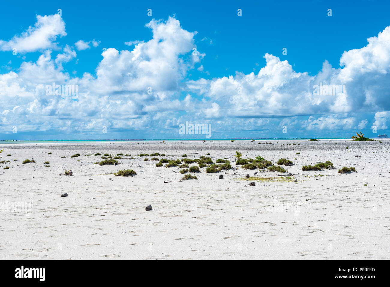 A windswept patch of beach in the Cook Islands with a blue sky ...