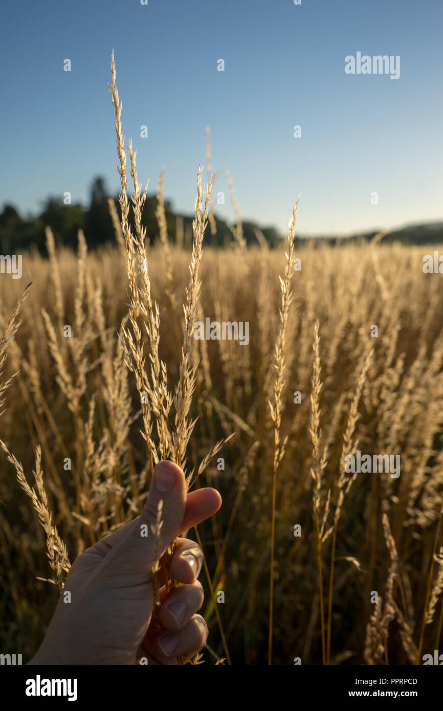 Male hand against sunset touch hi-res stock photography and images - Alamy