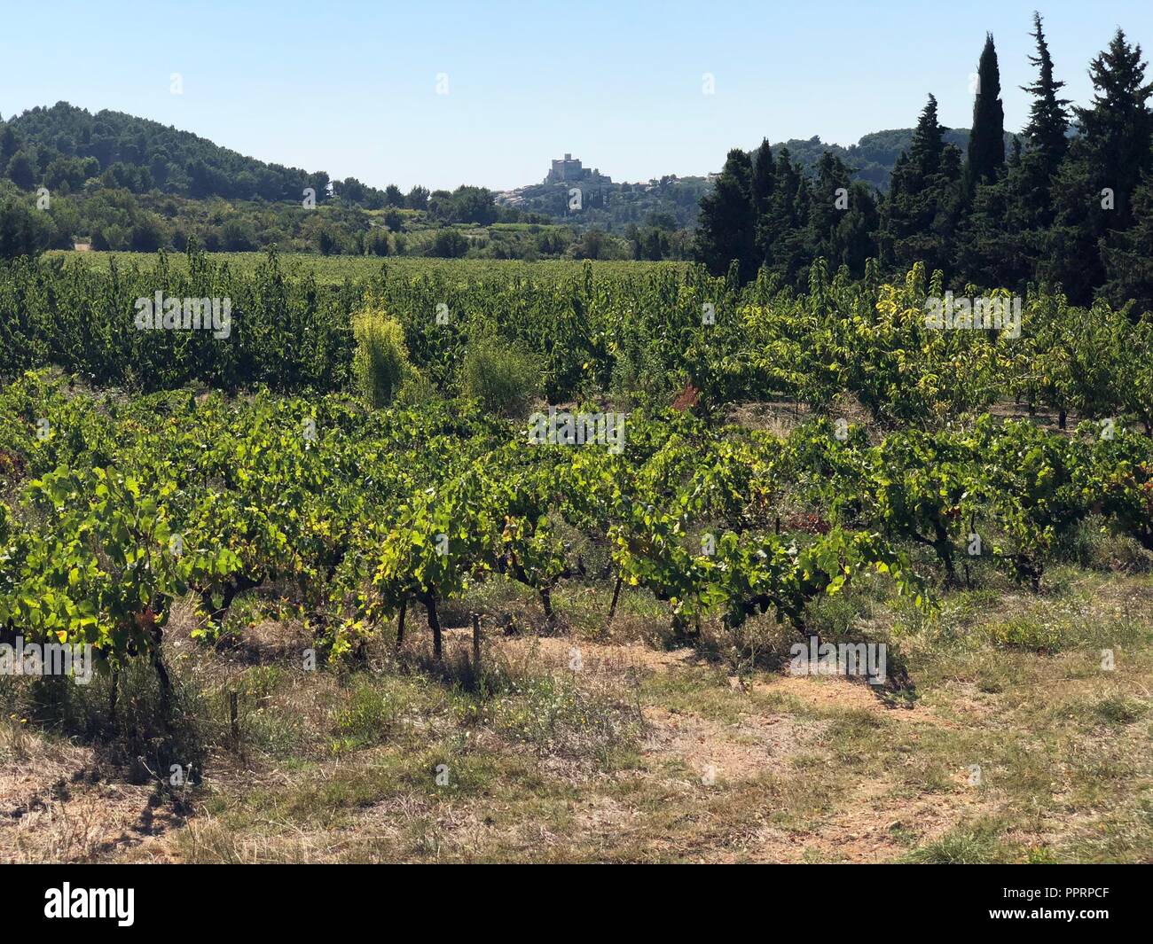 Traditional provencal hi-res stock photography and images - Alamy