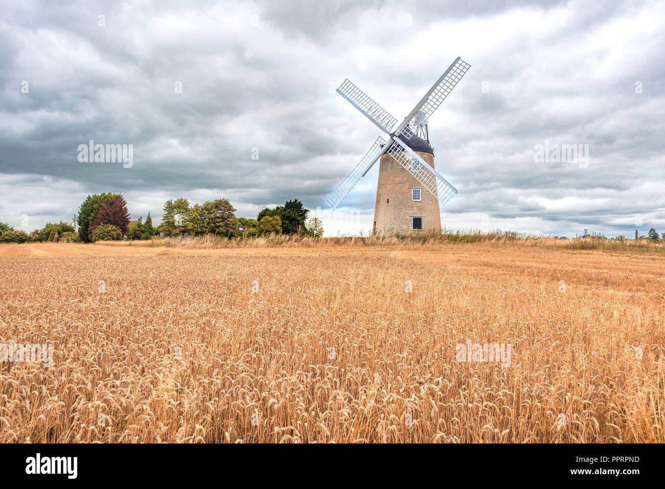 Great Haseley Windmill Stock Photo - Alamy