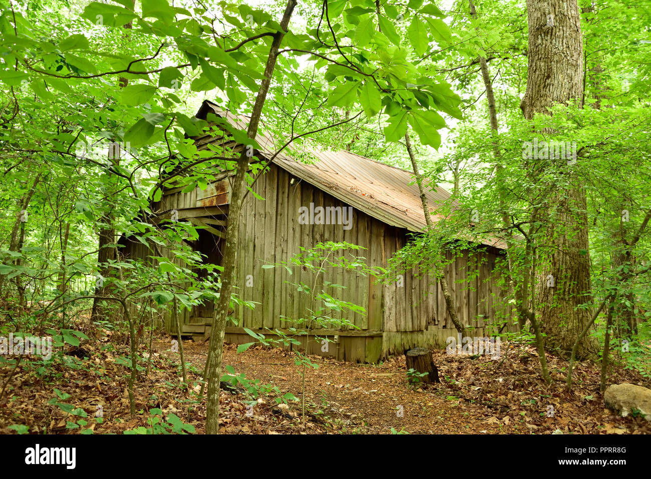 Old plantation sharecropper's cabin or slave cabin, located near ...
