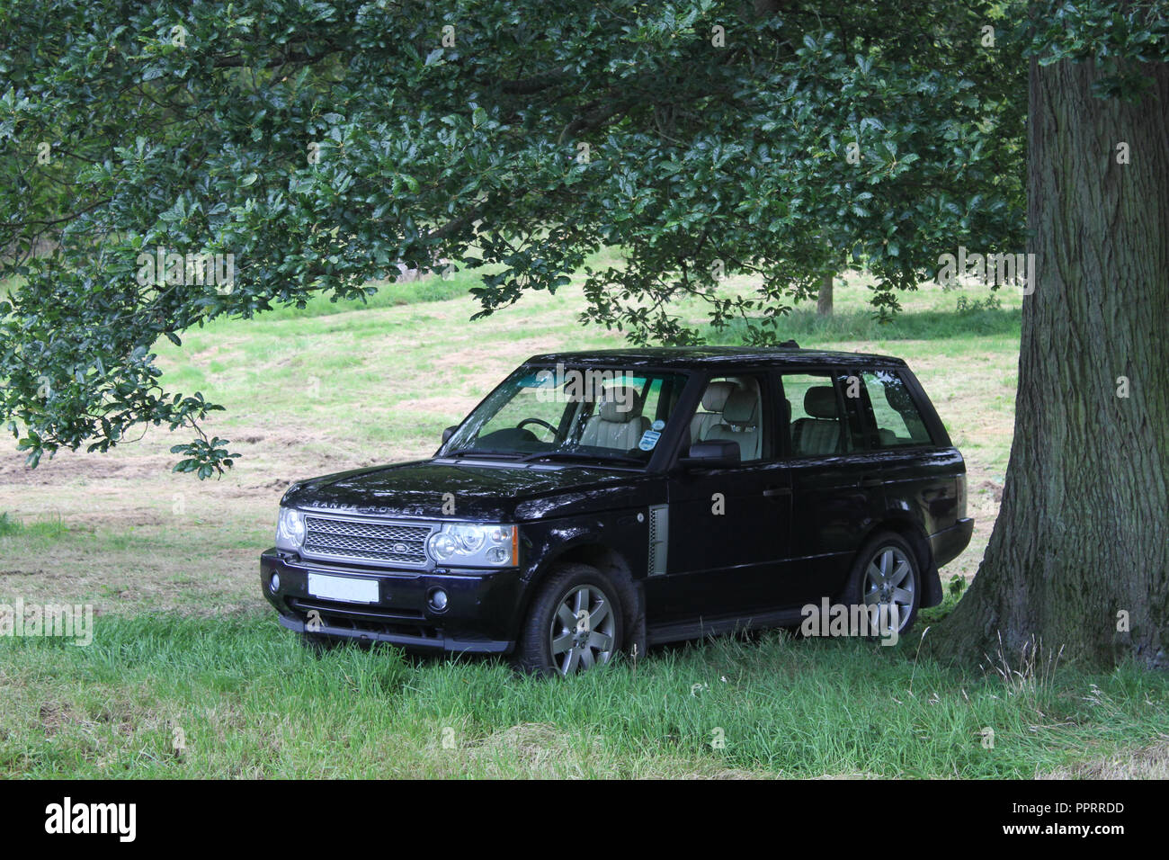 Range Rover parked in a field below a tree Stock Photo - Alamy