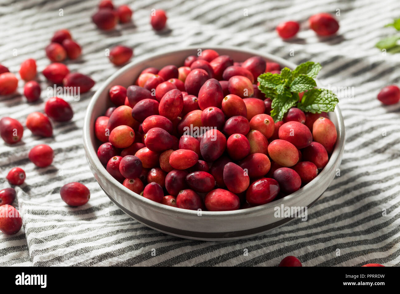 Raw Red Organic Cranberries Ready to Cook With Stock Photo - Alamy