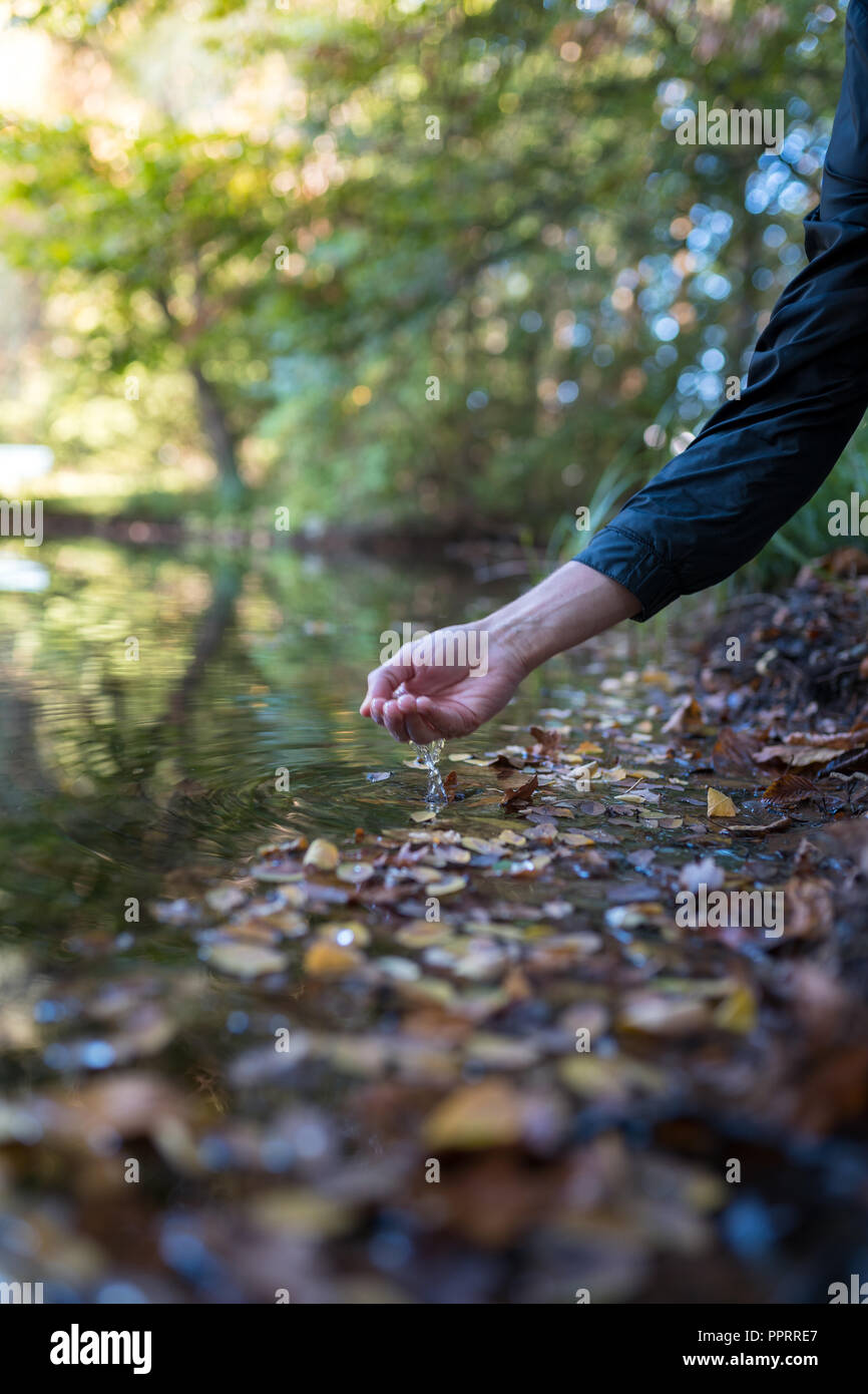 Male hand in a natural lake with autumn leaves Stock Photo - Alamy
