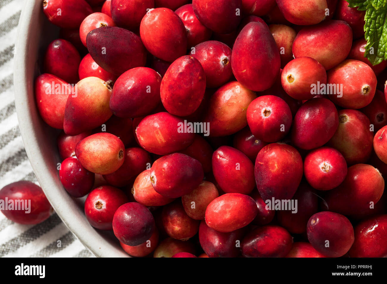 Raw Red Organic Cranberries Ready to Cook With Stock Photo - Alamy