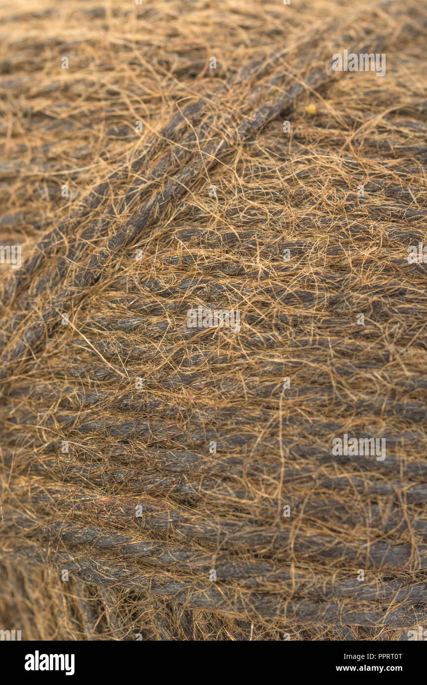 Individual fibers hi-res stock photography and images - Alamy