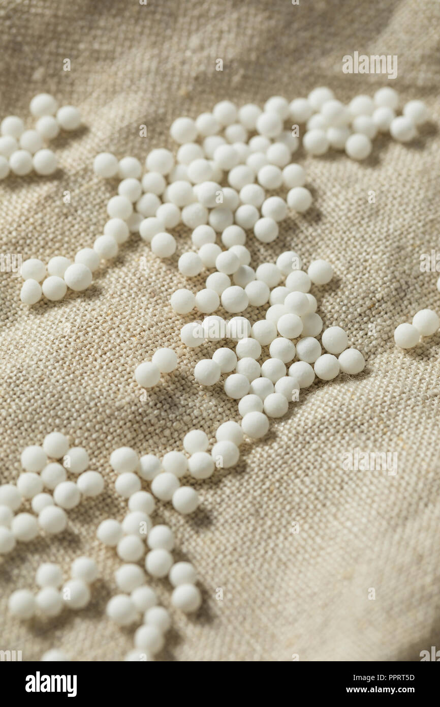 Tapioca plant hi-res stock photography and images - Alamy