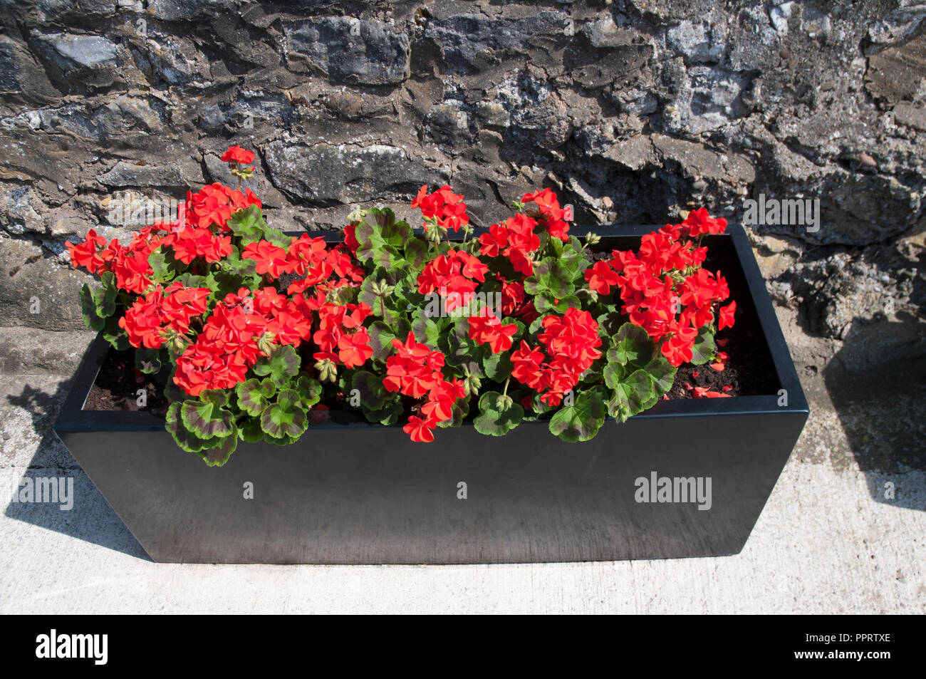 Stone trough planter hi-res stock photography and images - Alamy