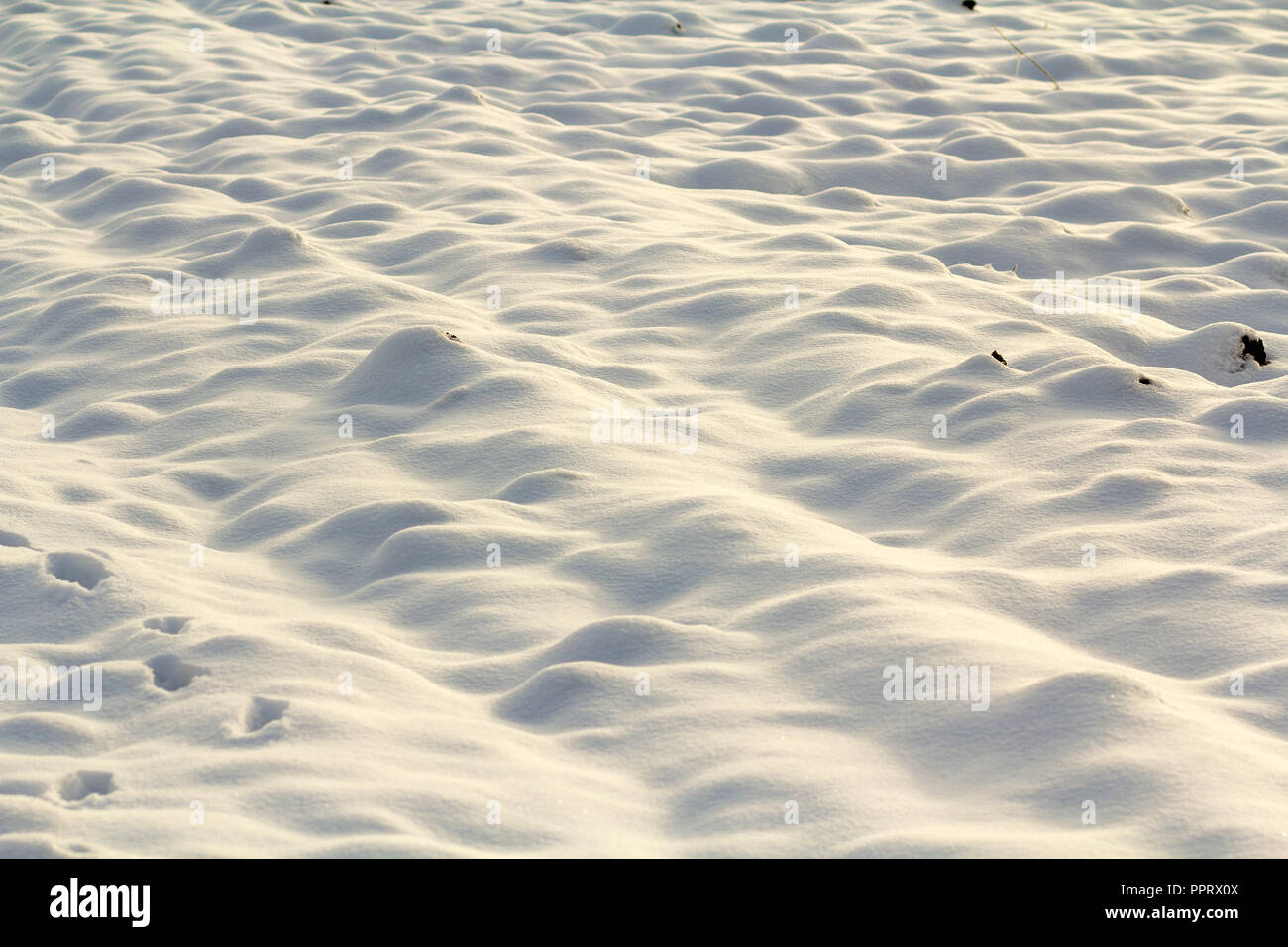 White surface of clear bright uneven deep snow in empty field, rural ...