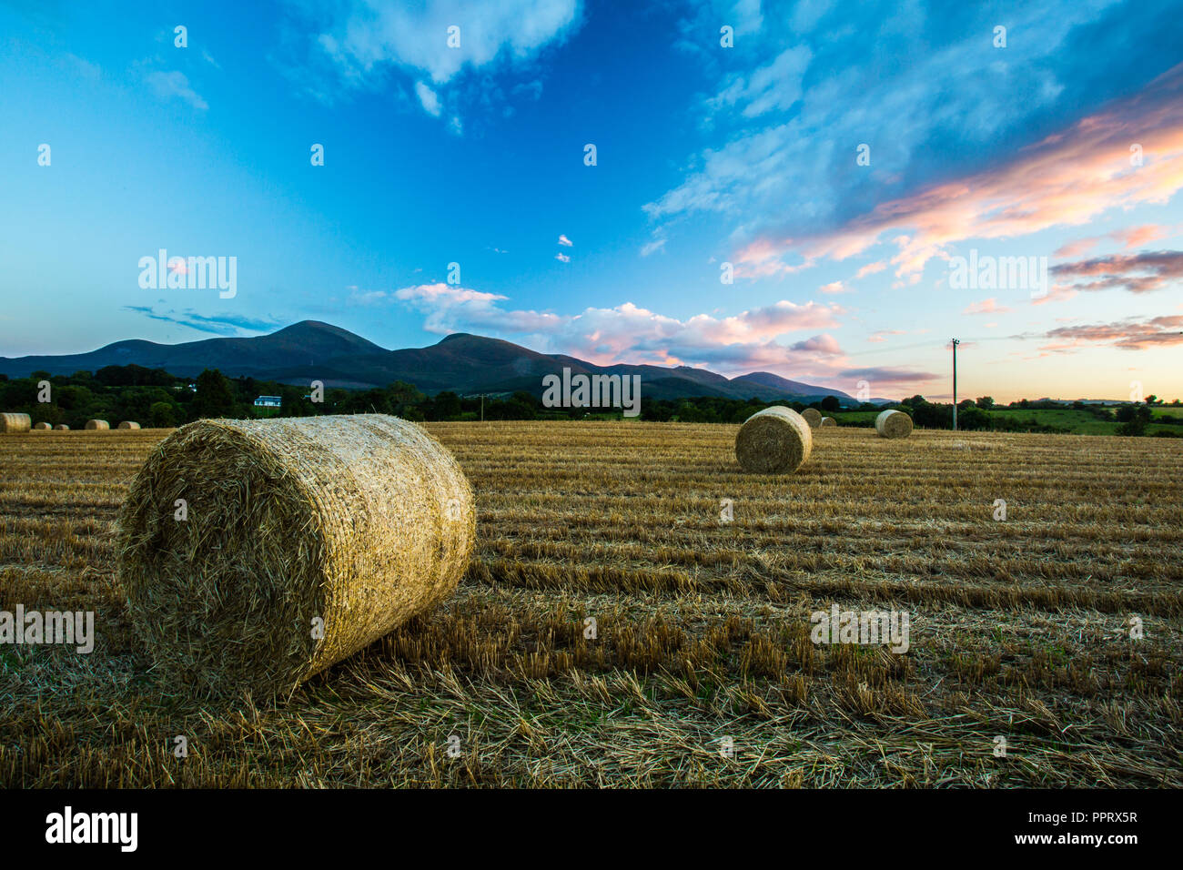 Bails down hi-res stock photography and images - Alamy