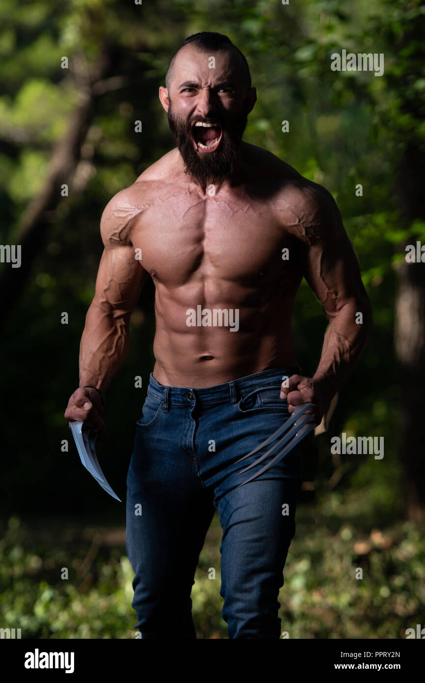 Portrait of a Physically Fit Wolverine With Claws Showing His Well ...