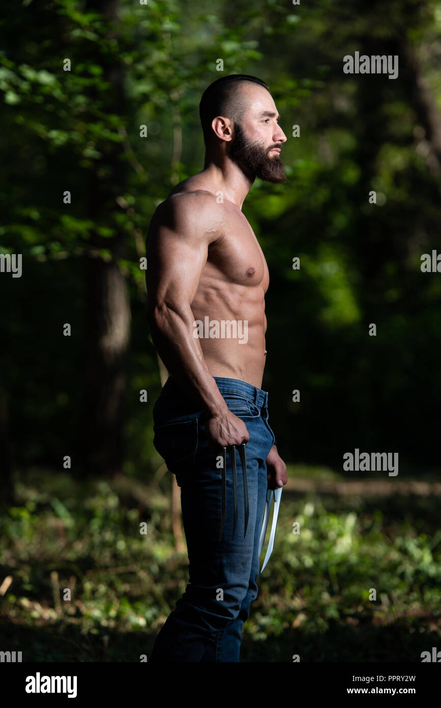 Portrait of a Physically Fit Wolverine With Claws Showing His Well ...
