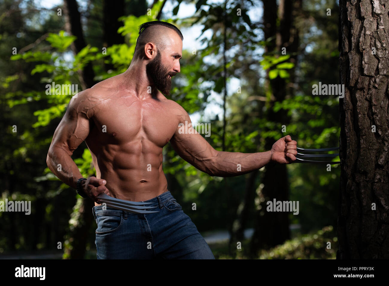 Wolverine With Claws Standing Strong Outdoors and Flexing Muscles ...