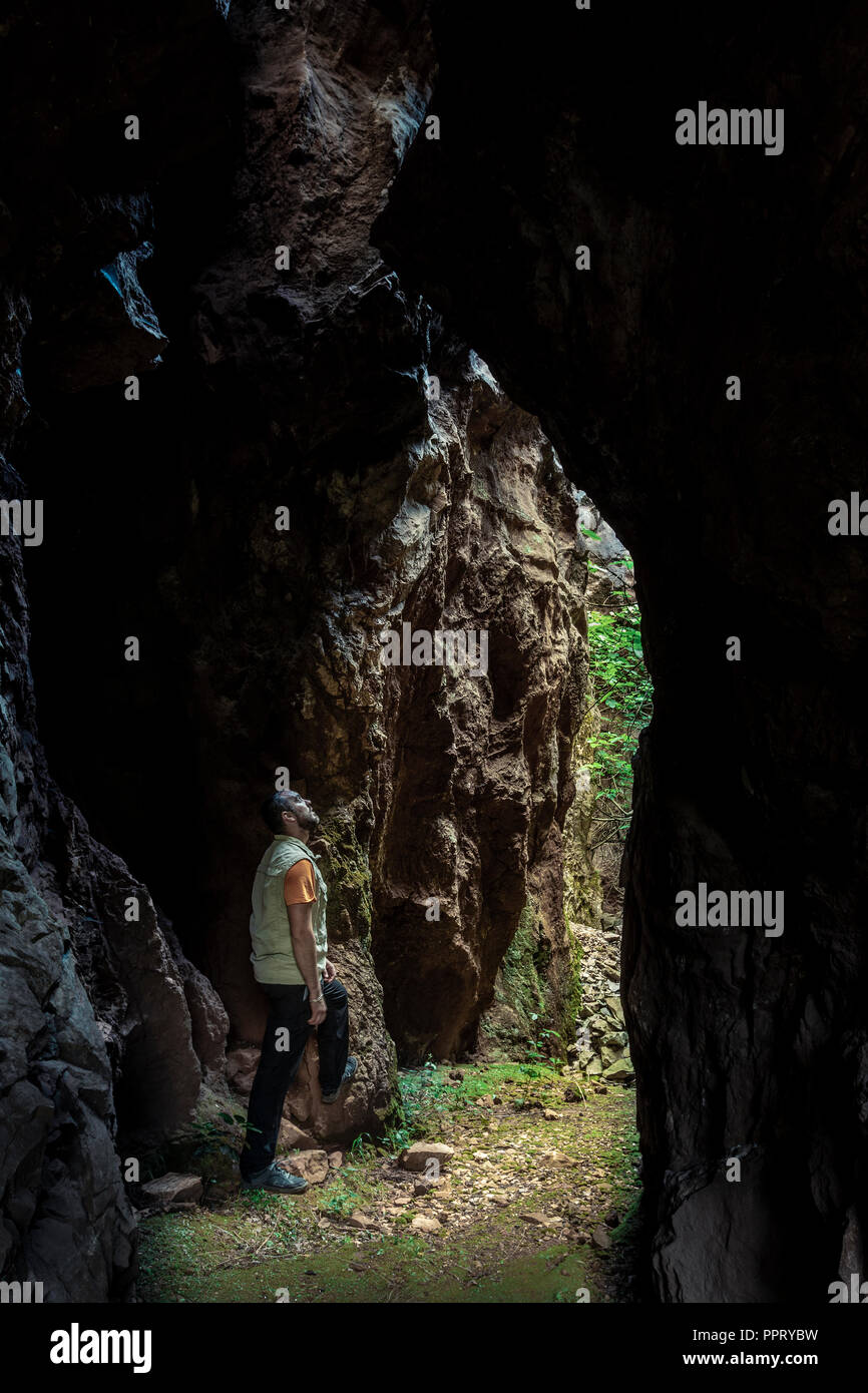 Side view of adult tourist man standing and looking up on cage entrance ...
