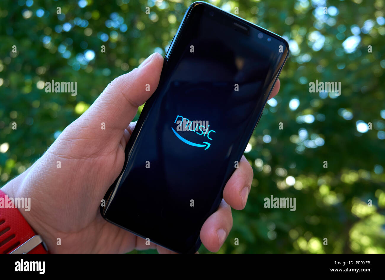 Hand holding prime hi-res stock photography and images - Alamy