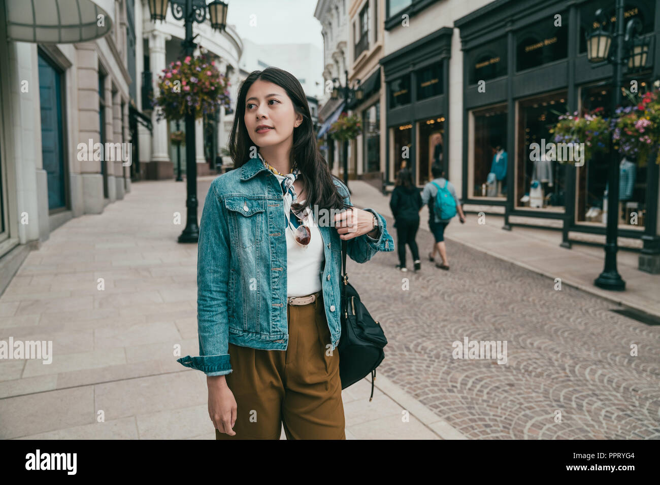 elegant lady window shopping on the street of rodeo drive and dream of ...