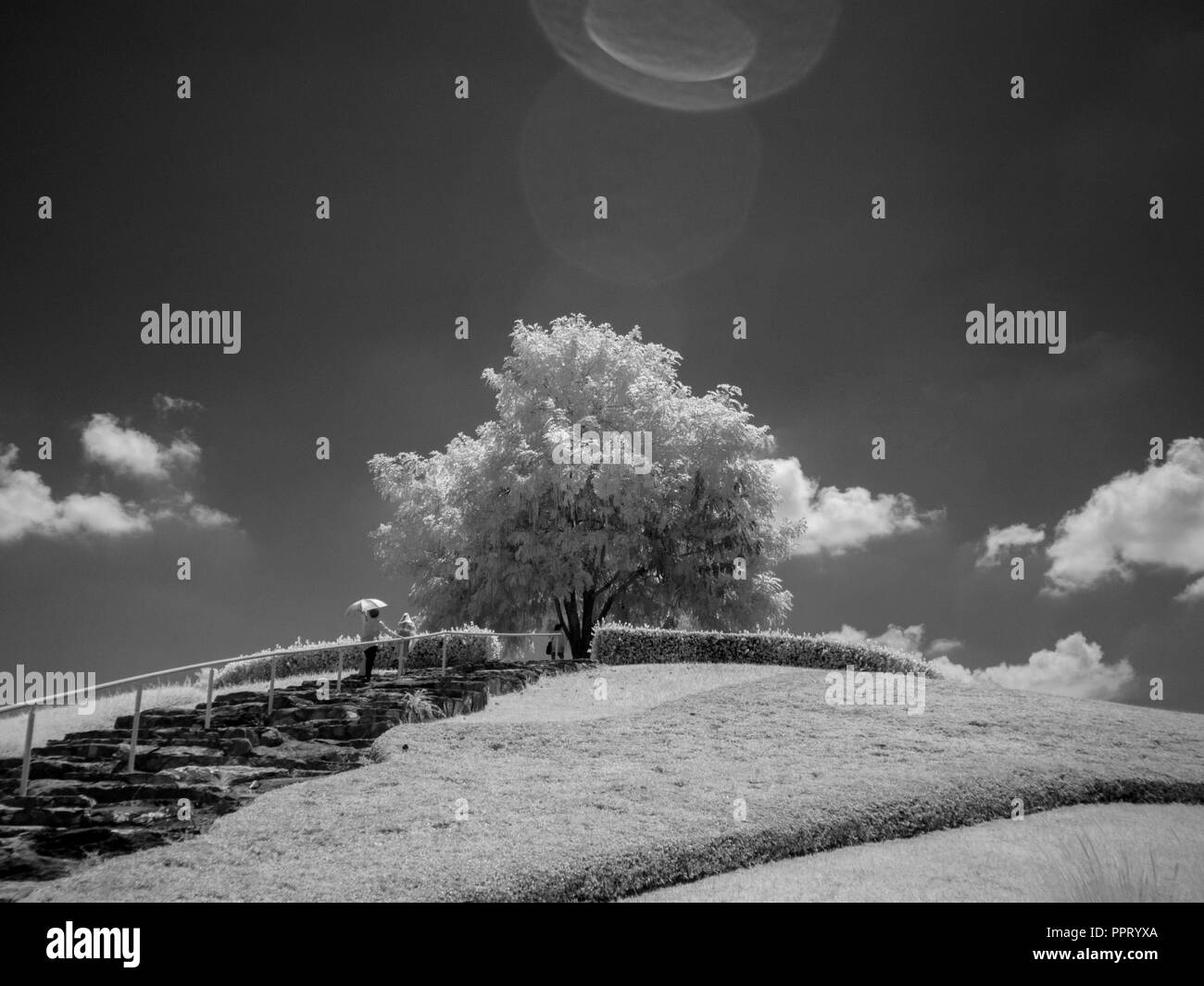 infrared fine art photography landscape : surreal infrared art ...