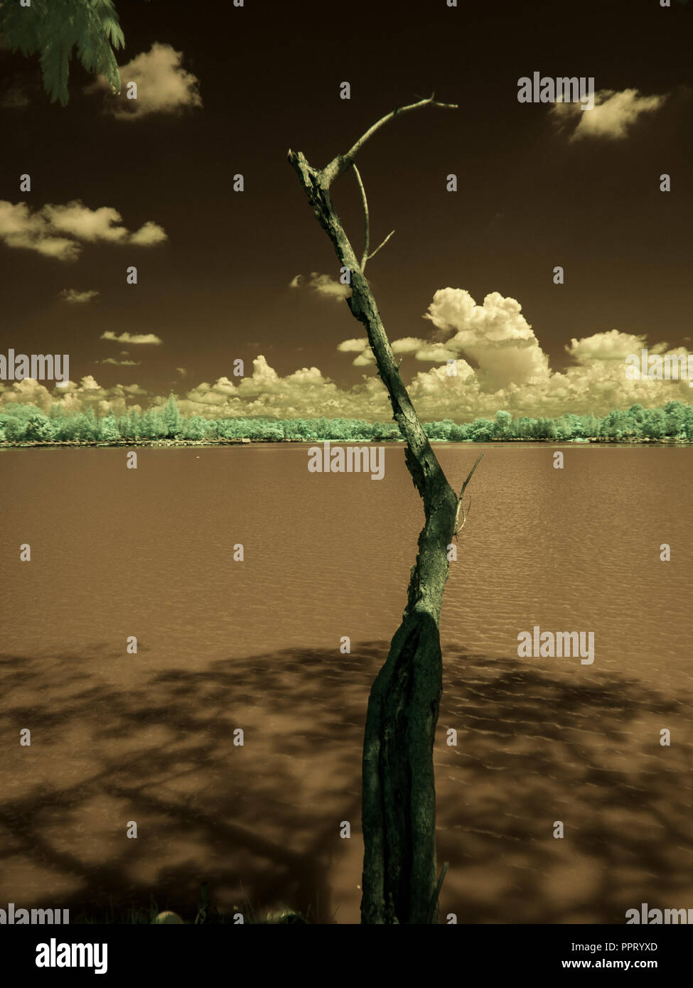 infrared fine art photography landscape : surreal infrared art ...