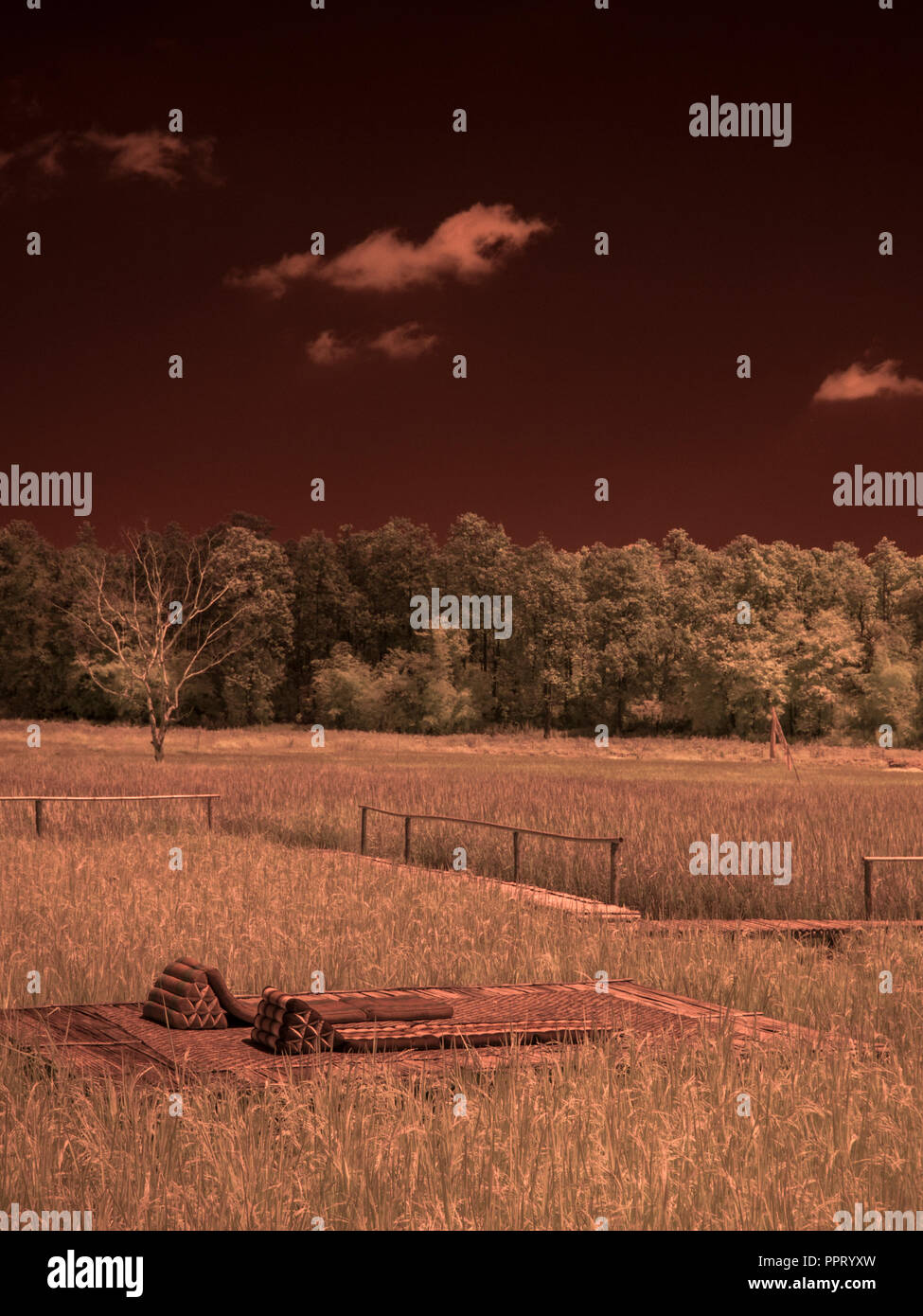 infrared fine art photography landscape : surreal infrared art ...