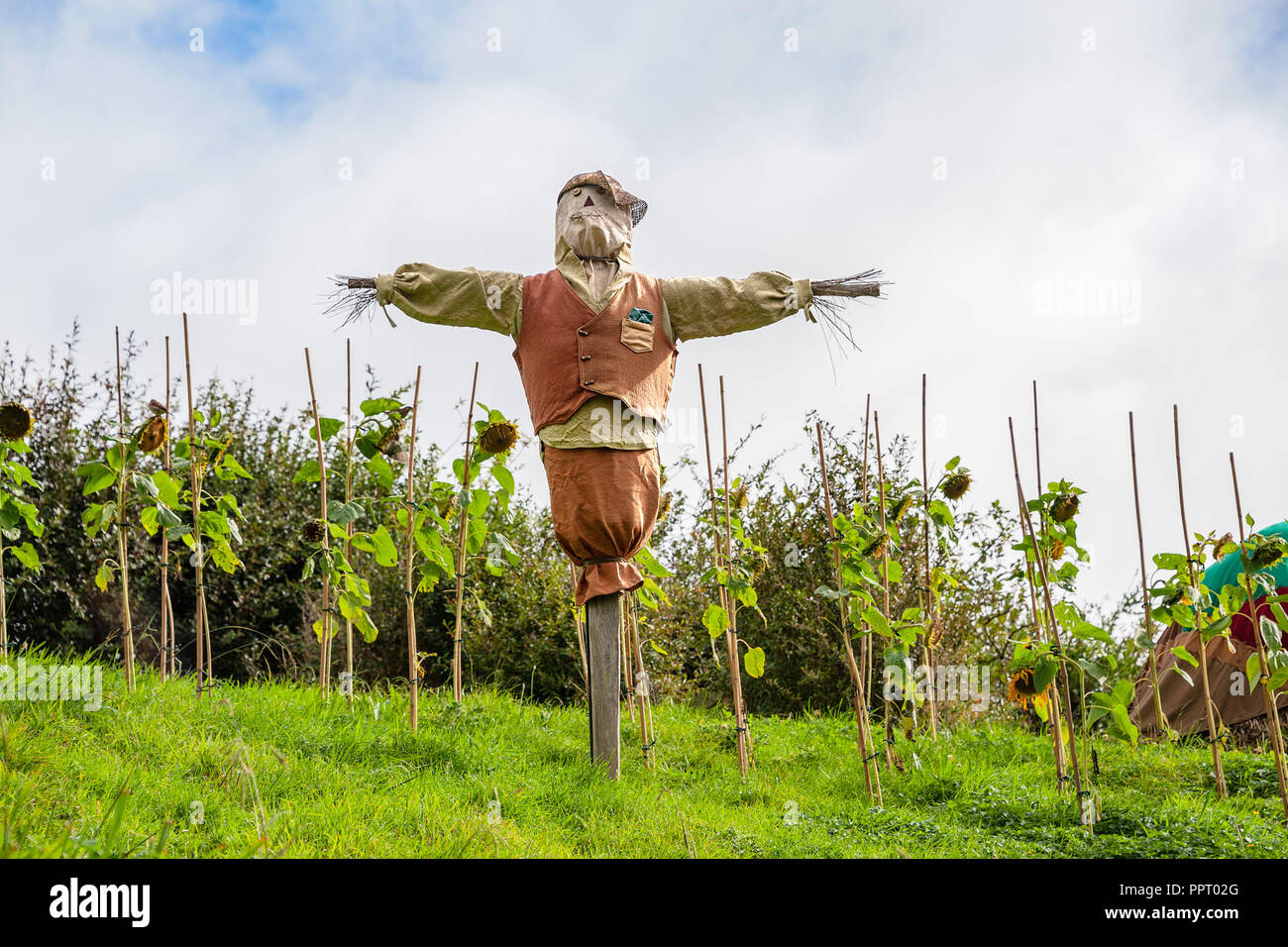 Scarecrow mannequin hi-res stock photography and images - Alamy