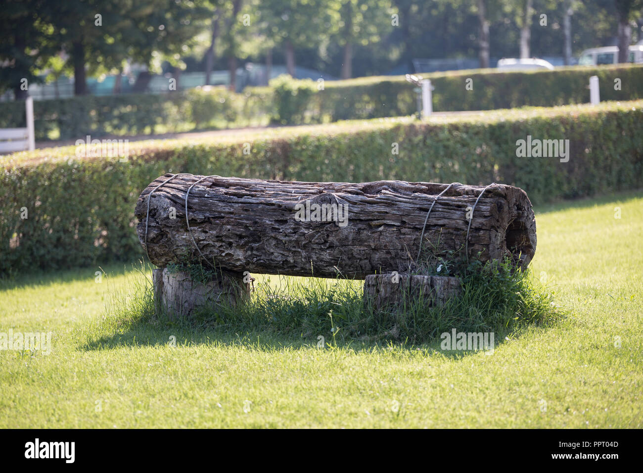 Equestrian Obstacle: Trunk in a Horizontal Position for Horse Jumping ...